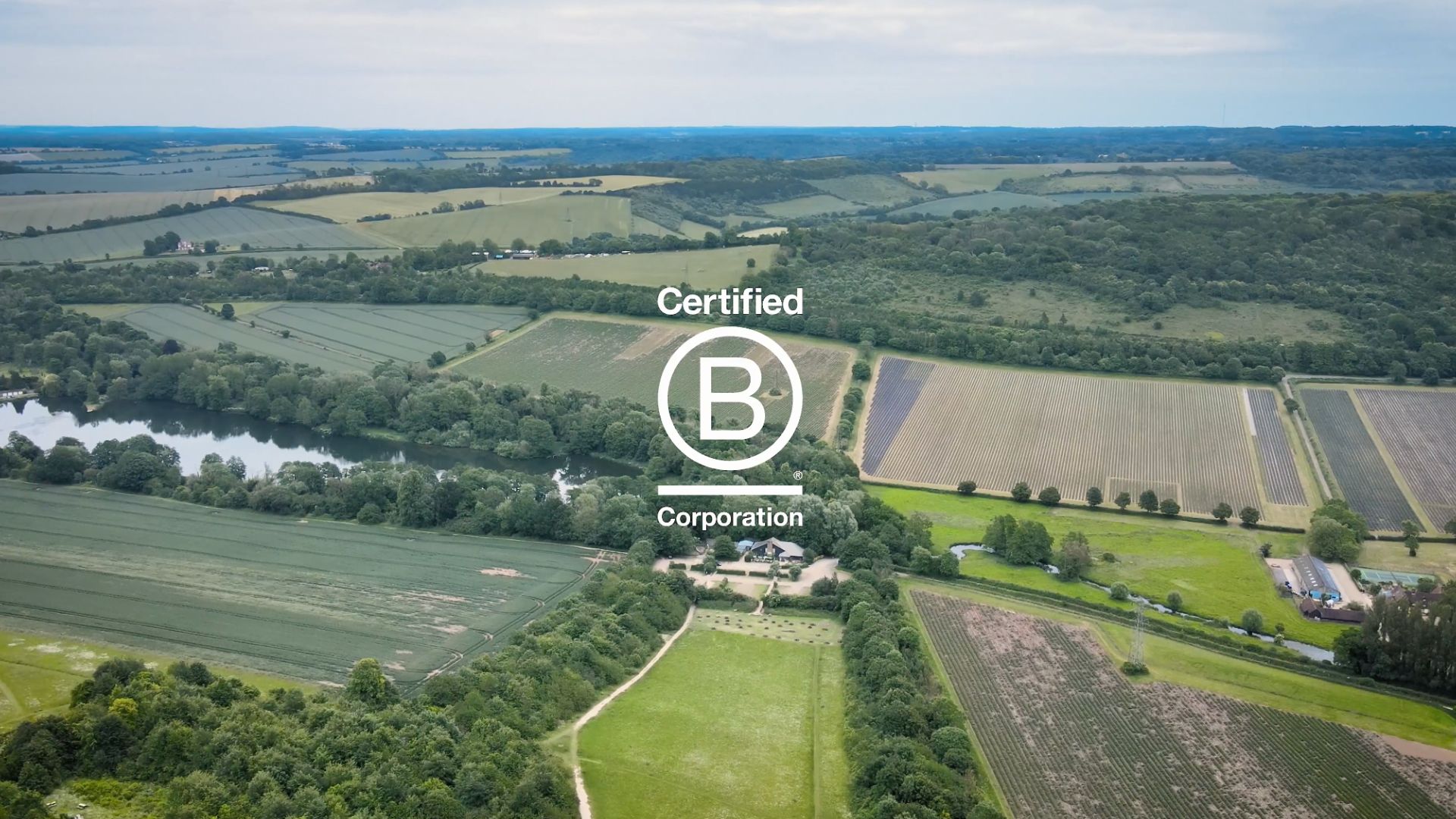 B Corp Certified Events Agency | Broadsword